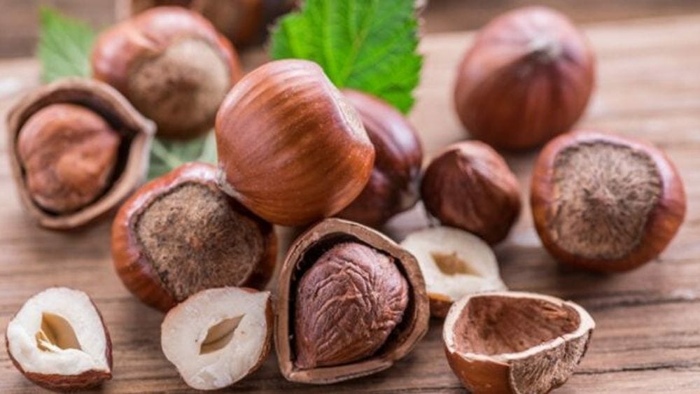 Liste des fruits oléagineux : notre top 10 | Aujourdhui.com